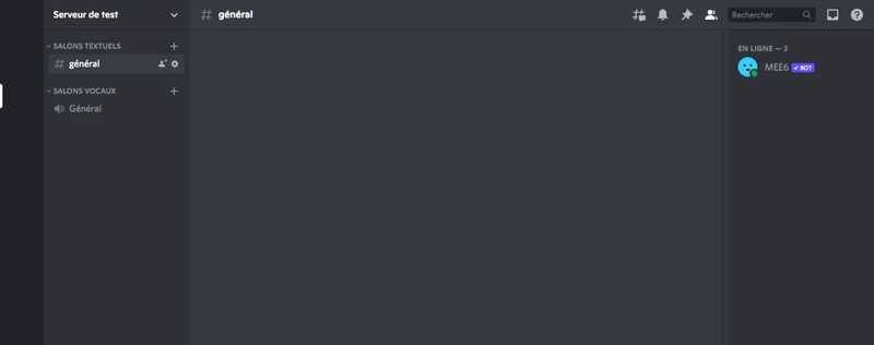 Le Guide Complet pour Maîtriser le Bot Discord MEE6