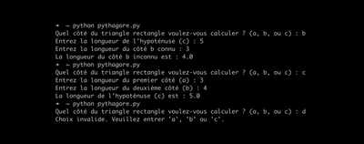Le Théorème de Pythagore en Python | Comment Coder