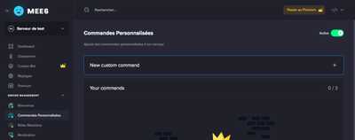 Le Guide Complet pour Maîtriser le Bot Discord MEE6